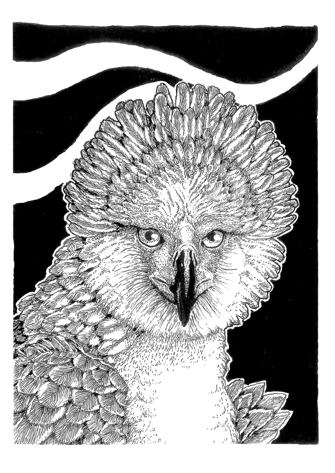 BAK Antonello Sechi – selected works