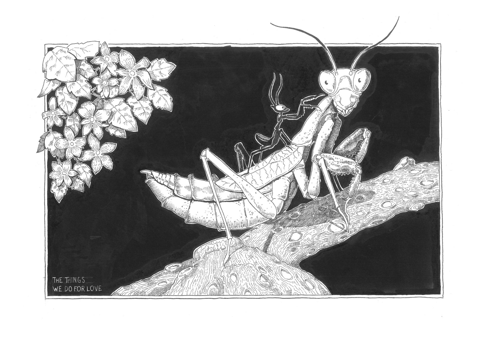 BAK Antonello Sechi – selected works